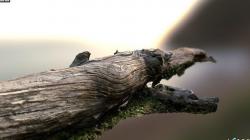 tree trunk texture 3D Models | Page 1 | STLFinder