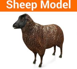 black sheep models 【 STLFinder