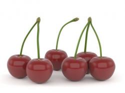 cherry fruit 3D Models | Page 1 | STLFinder