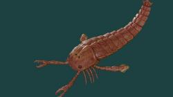 jaekelopterus rhenaniae 3D Models | Page 1 | STLFinder