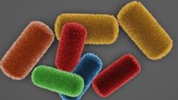 fuzzy body pillow 3D Models | Page 1 | STLFinder