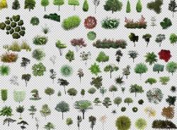 tree top png 3D Models | Page 1 | STLFinder