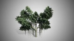 banyan tree in chinese 3D Models | Page 1 | STLFinder