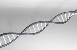 dna strand 3d models | Page 1 | STLFinder