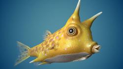 Abyssal Fish Anoplogaster cornuta 3d models 【 STLFinder
