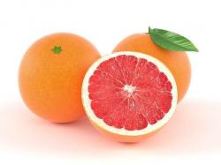 grapefruit model | Page 1 | STLFinder