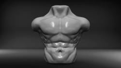 human male torso 3D Models | Page 1 | STLFinder