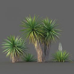 yucca set 3d models | Page 1 | STLFinder