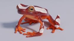 clown tree frogs 3D Models | Page 1 | STLFinder