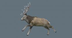 maxelcrafting minecraft deer rig 3d models | Page 1 | STLFinder