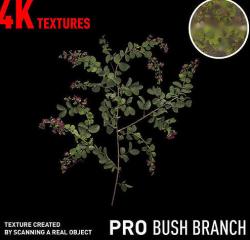 bush 4k 3D Models | Page 1 | STLFinder