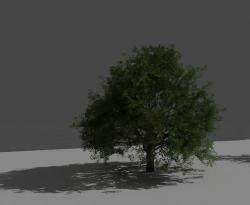 vray grass and tree 3D Models | Page 1 | STLFinder