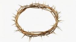 gold thorn crown 3D Models | Page 1 | STLFinder