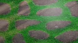 grass land psx model | Page 1 | STLFinder