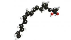 virtual 3d molecular model | Page 1 | STLFinder