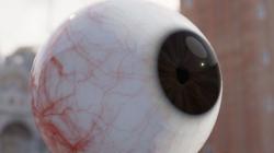 ultra realistic eye model anatomy | Page 1 | STLFinder