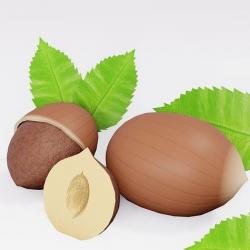 hazelnut 3d model | Page 1 | STLFinder