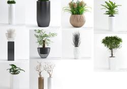 elite models vip | Page 1 | STLFinder