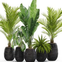 adapter model ofs 569 | Page 1 | STLFinder