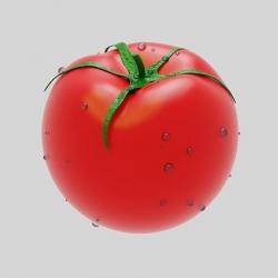 tomato 3d | Page 1 | STLFinder