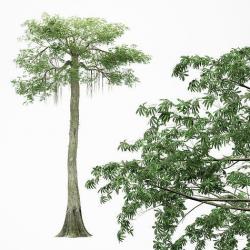 space filling fractal tree the h tree in 3d 3d models | Page 1 | STLFinder