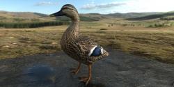 detail cad duck confindment 3D Models | Page 1 | STLFinder