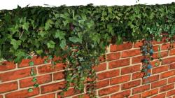 ivy wall low poly 3D Models | Page 1 | STLFinder