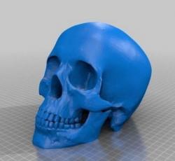 wow wow wubbzy flash files 3D Models | Page 1 | STLFinder