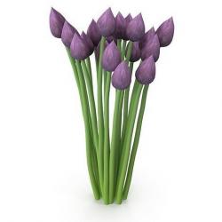 imx model buds | Page 1 | STLFinder