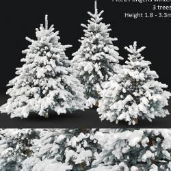 20 winter Picea Albea Trees 3D Models | Page 1 | STLFinder
