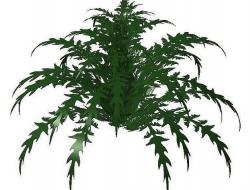 cartoon fern plant 3D Models | Page 1 | STLFinder