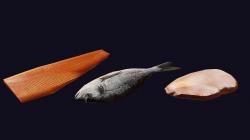 shanghai kinry food ingredients co ltd 3D Models | Page 1 | STLFinder