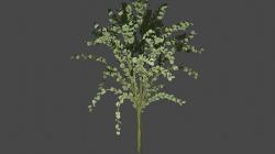 kalkulator jarak tanam 3D Models | Page 1 | STLFinder