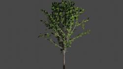 mangga cutout 3D Models | Page 1 | STLFinder