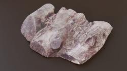 rotten log 3d models | Page 1 | STLFinder