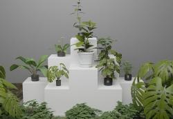beautiful weed plants 3D Models | Page 1 | STLFinder