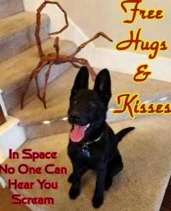 free face hugger 3D Models | Page 1 | STLFinder