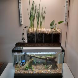 baffle for fish tank filter 3D Models | Page 1 | STLFinder