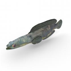 cobra snakehead 3d models | Page 1 | STLFinder