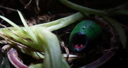 mario plant monster 3D Models | Page 1 | STLFinder