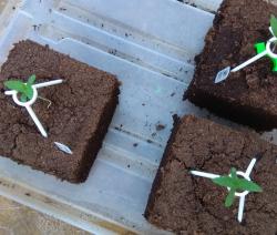 soil block 3D Models | Page 1 | STLFinder