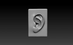 3d model ear | Page 1 | STLFinder