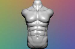heroic male torso 3d model 【 STLFinder