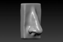 nose 3d model | Page 1 | STLFinder
