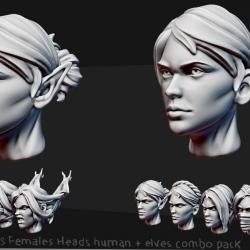 female heads 28mm 3D Models | Page 1 | STLFinder