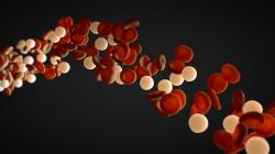 3d blood flow model project | Page 1 | STLFinder