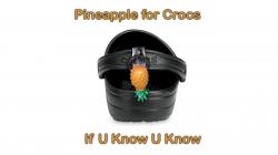 pineapple crocs 3D Models | Page 1 | STLFinder