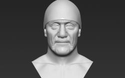 hulk hogan 3d print | Page 1 | STLFinder