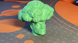 brocc 3D Models | Page 1 | STLFinder