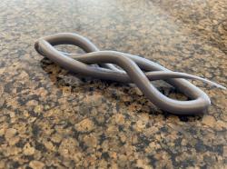 twist art rotary drawing 3D Models | Page 1 | STLFinder